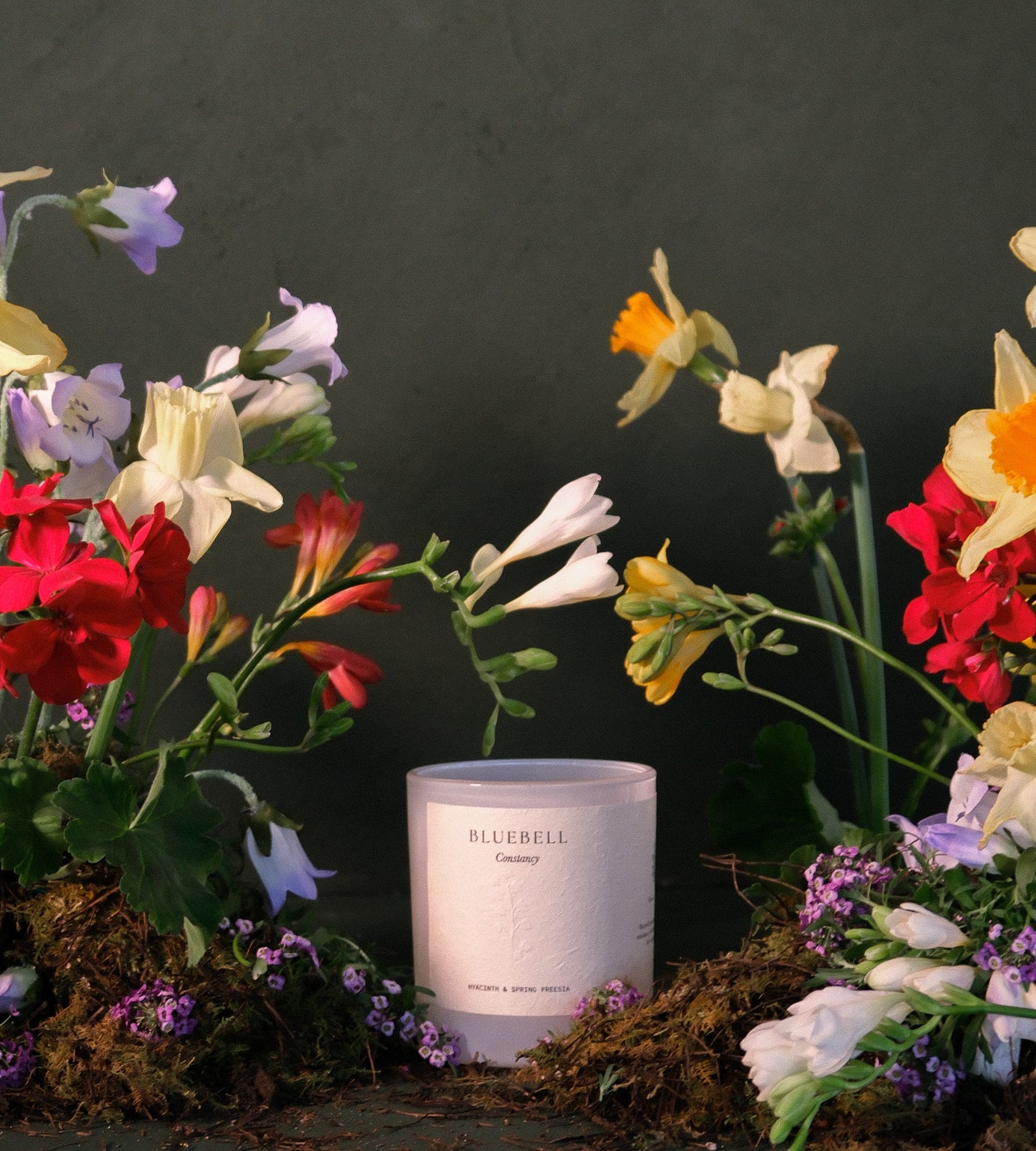 Home Fragrance – Studio Sol