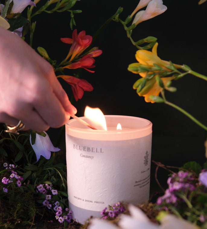 Limited Edition – Studio Sol