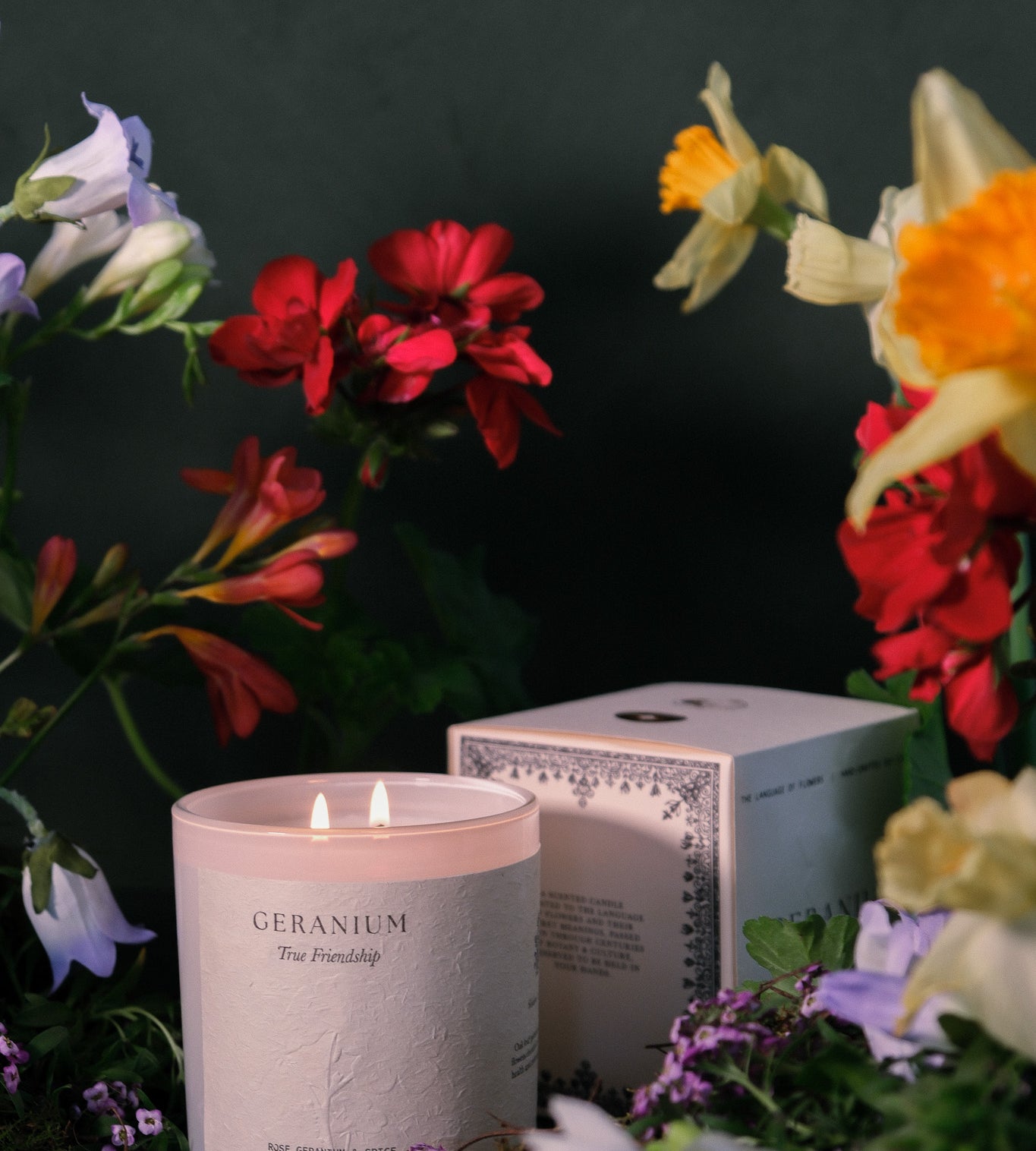 Home Fragrance – Studio Sol