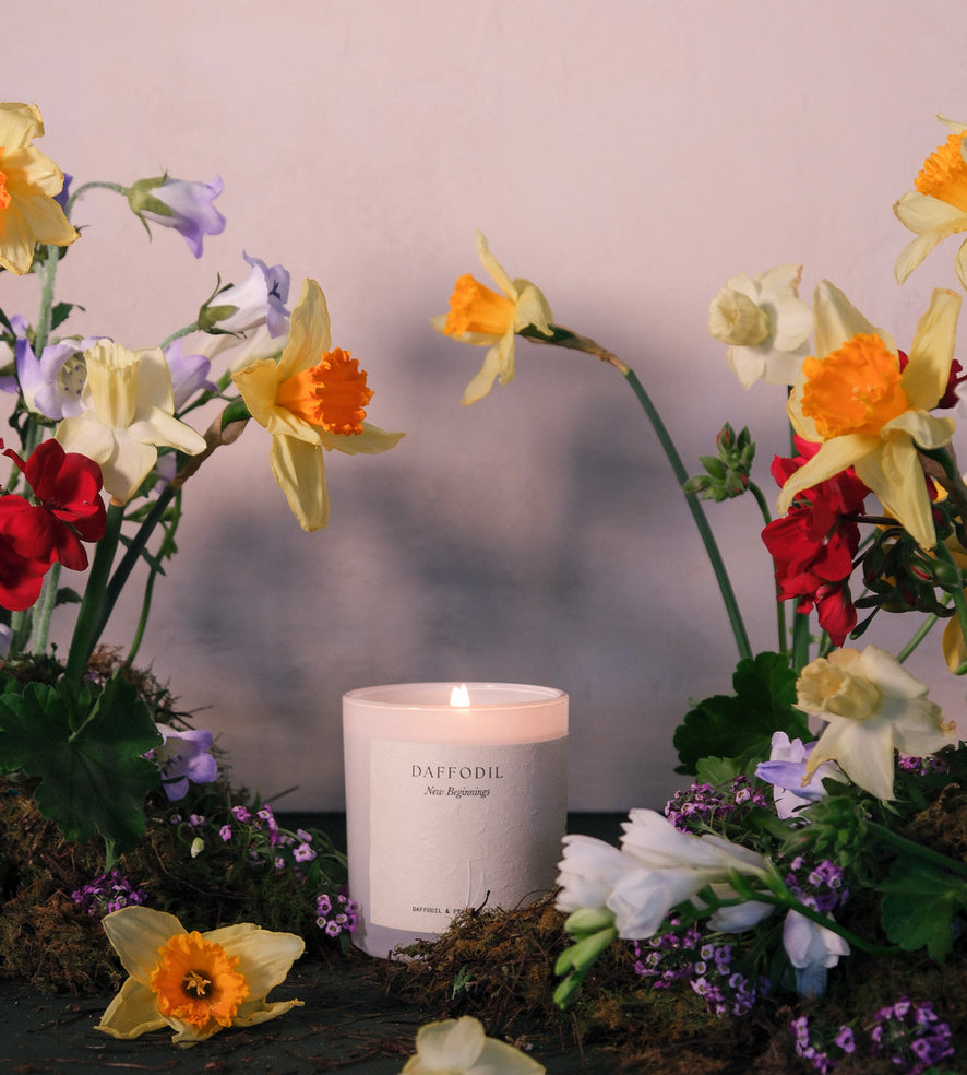 Home Fragrance – Studio Sol